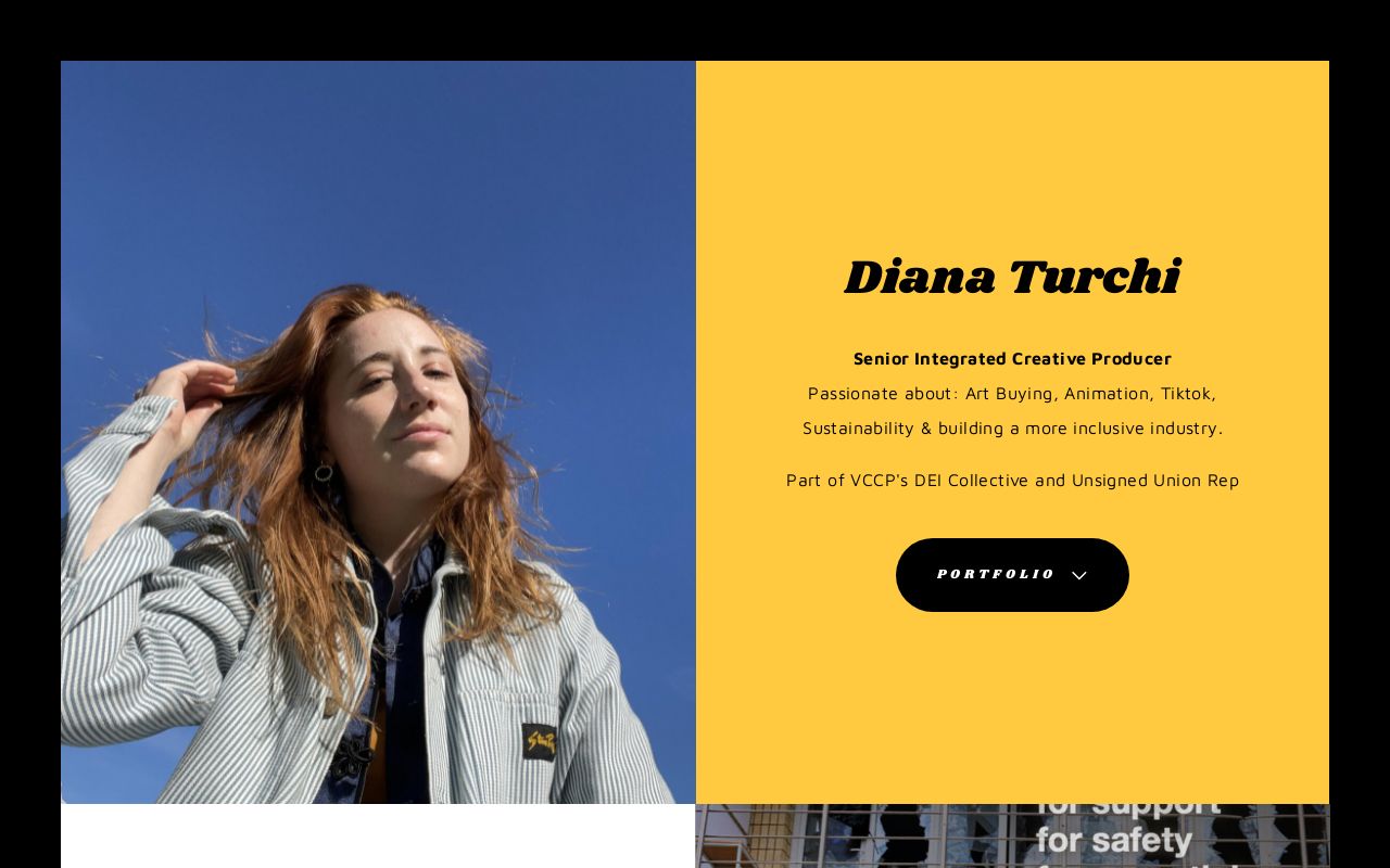Diana Turchi Portfolio